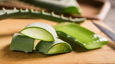 Which Aloe Vera Plant Is Edible? – Aloe Queen